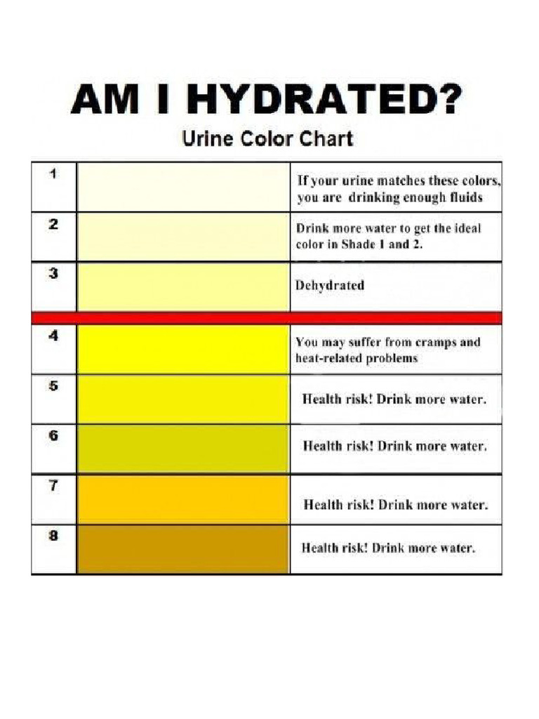 Am I Hydrated Chart | PDF