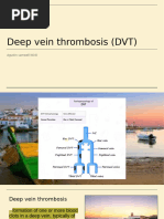 DVT: Acute vs Chronic Documentation | PDF | Thrombosis | Vein