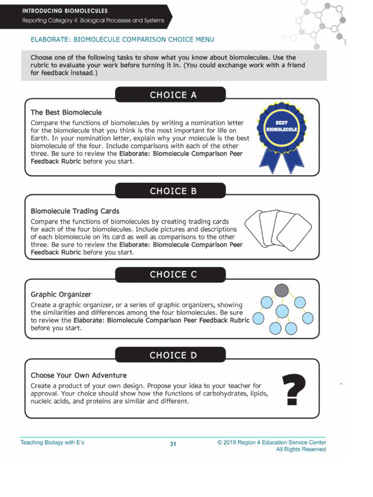 Elaborate Choice Menu | PDF