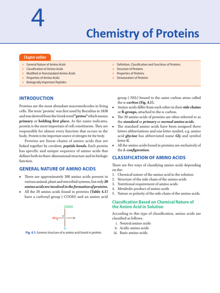 Amino Acids and Protein Chemistry Guide | PDF | Amino Acid | Proteins