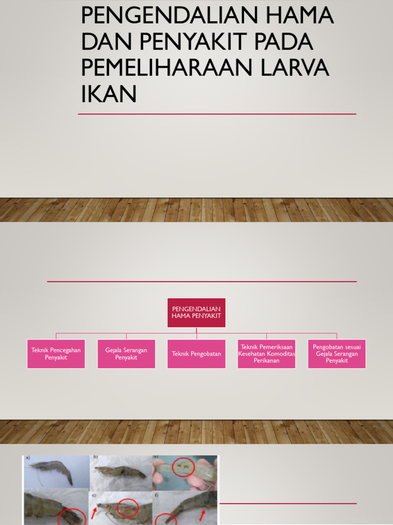 Pengendalian Hama dan Penyakit Larva Ikan | PDF