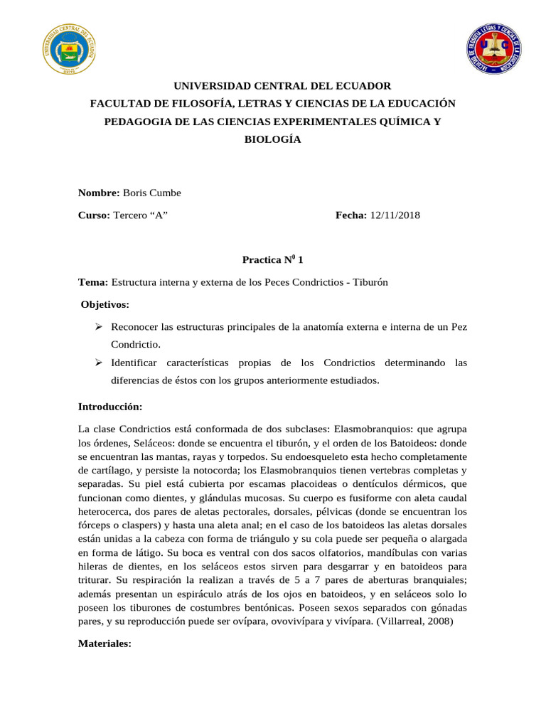 Estructura de Peces Condrictios | PDF | Branquia | Pescado