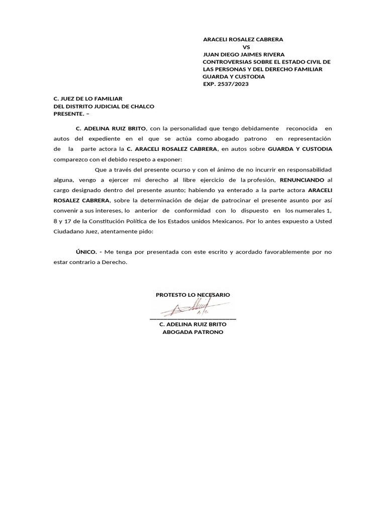 Araceli Rosalez Cabrera Escrito | PDF