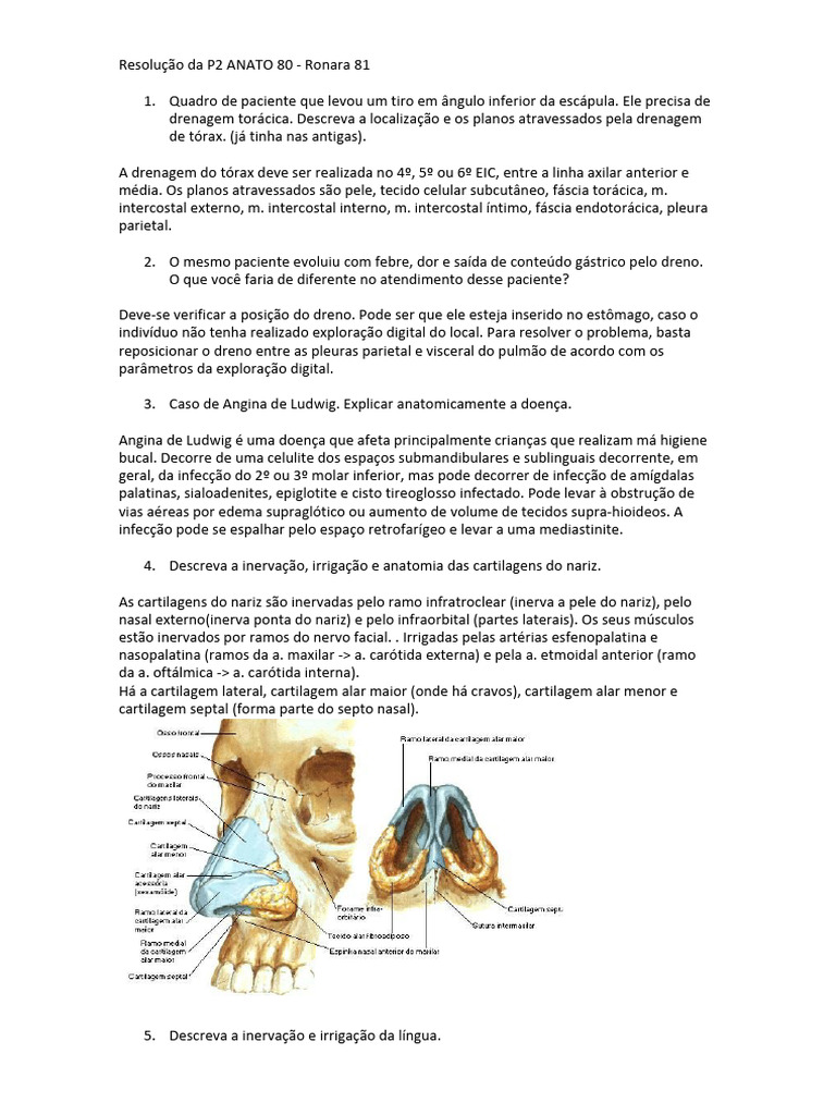 Resolução P2 ANATO | PDF | Anatomia humana