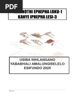 Grade 10 IsiZulu Lesson Guide | PDF | Empathy | Grammatical Number