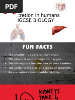 Module Excretory System | PDF | Human Body | Excretion