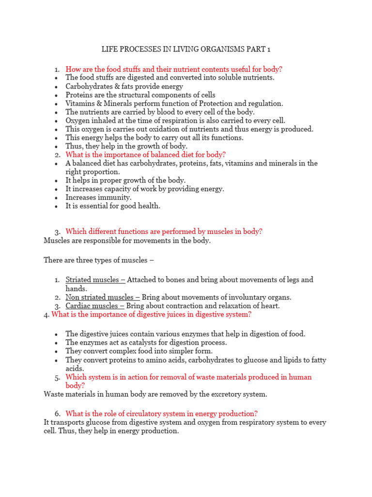 Life Processes in Living Organisms | PDF | Meiosis | Mitosis