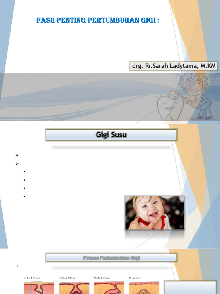 Proses Pertumbuhan Gigi | PDF