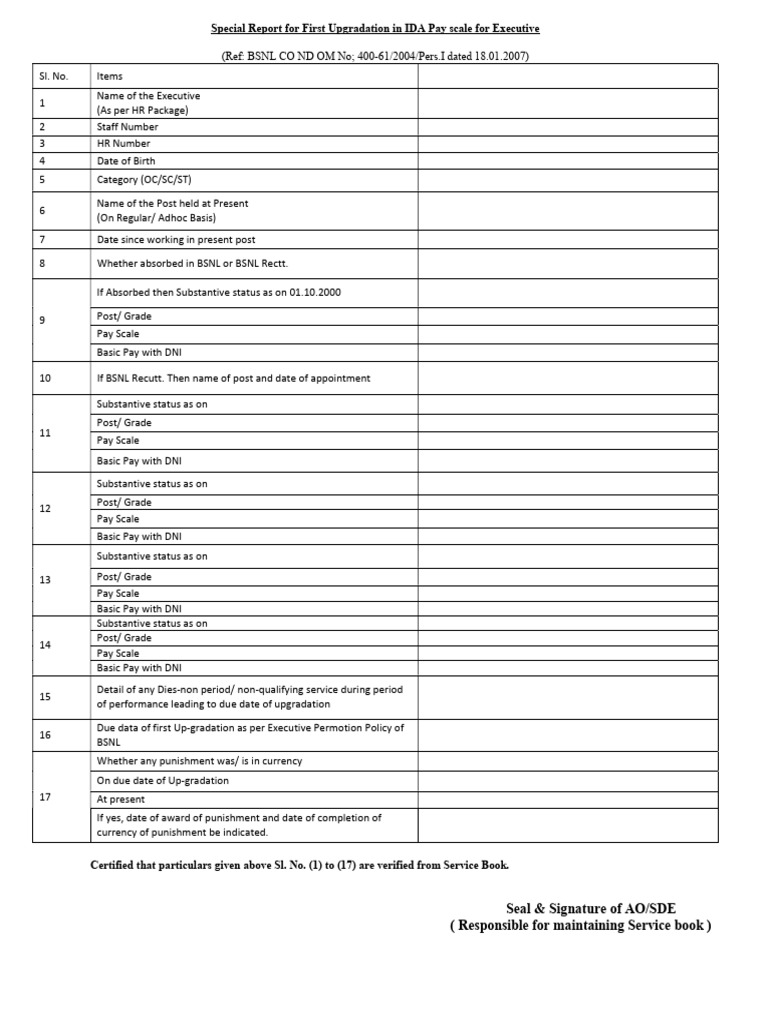 BSNL Executive IDA Pay Scale Upgrade Report | PDF