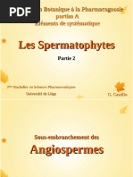 Le Carpelle : Organe des Angiospermes | PDF | Fruit | Embryon