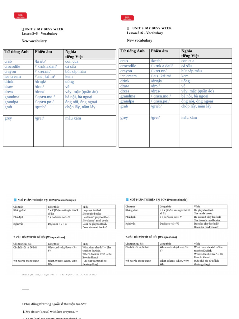 Unit 2 My Busy Week Vocabulary Styled | PDF