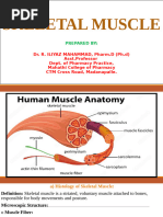 Steps of the Cross Bridge Cycle | PDF | Muscle Contraction ...