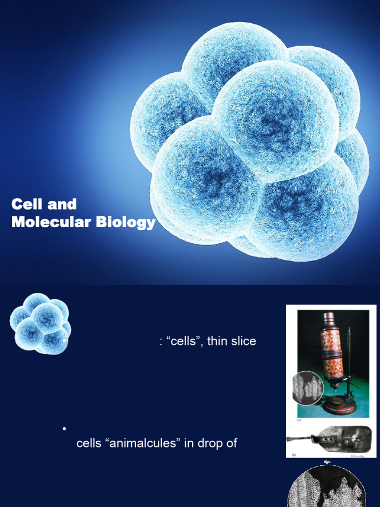 1 Introduction To Cell Biology 110520 | PDF | Cell (Biology) | Prokaryote