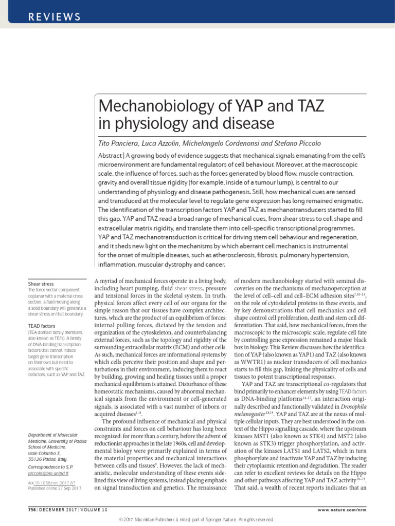 Mechanobiology of YAP and TAZ in Physiology Nad Disease | PDF ...