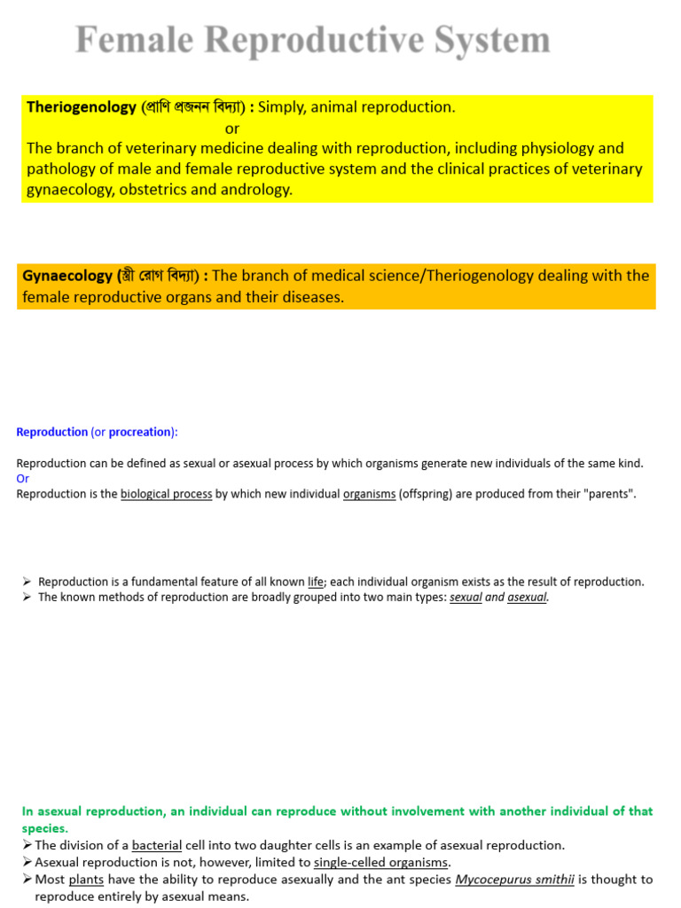 Overview of Female Reproductive Anatomy | PDF | Reproduction | Uterus
