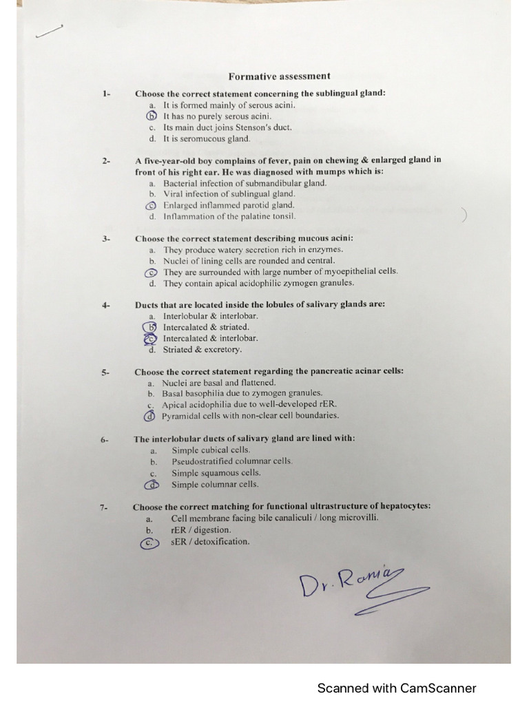 Formative Assessment | PDF