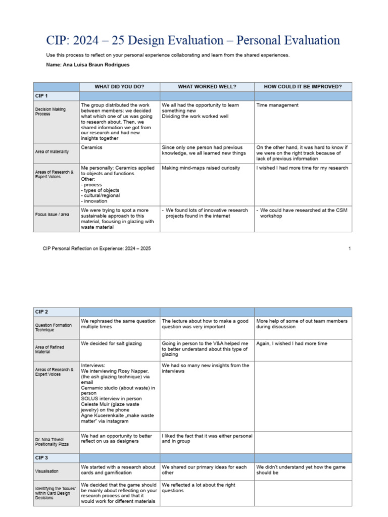 Personal Evaluation Overview CIP PDF | PDF | Communication | Cognitive Science