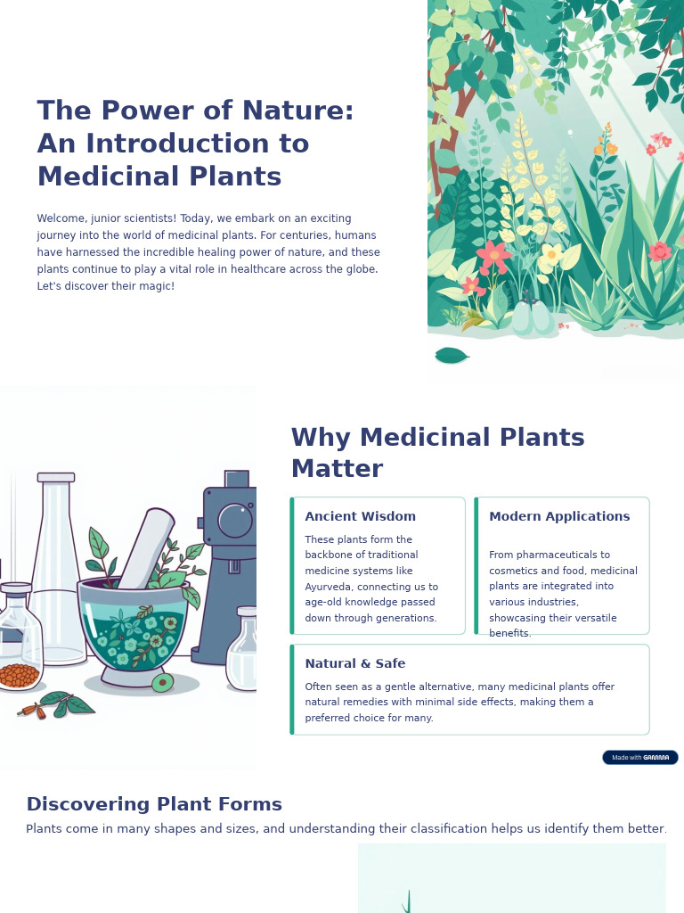 The Power of Nature An Introduction To Medicinal Plants | PDF | Ginger ...