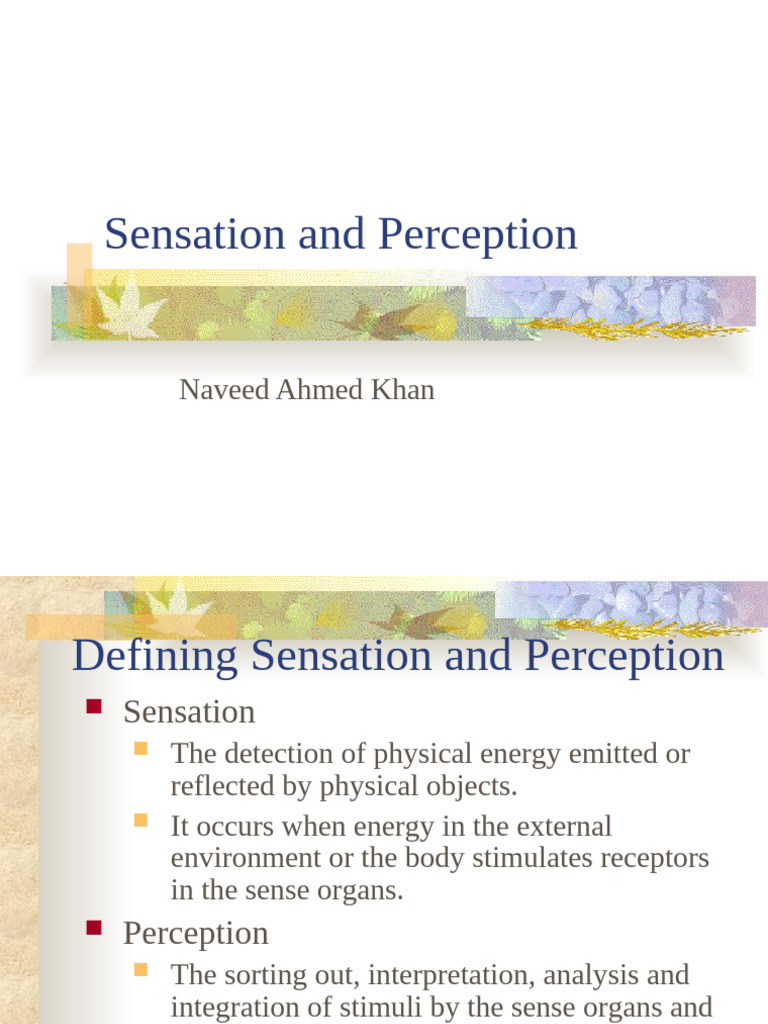 Understanding Sensation and Perception | PDF | Senses | Perception