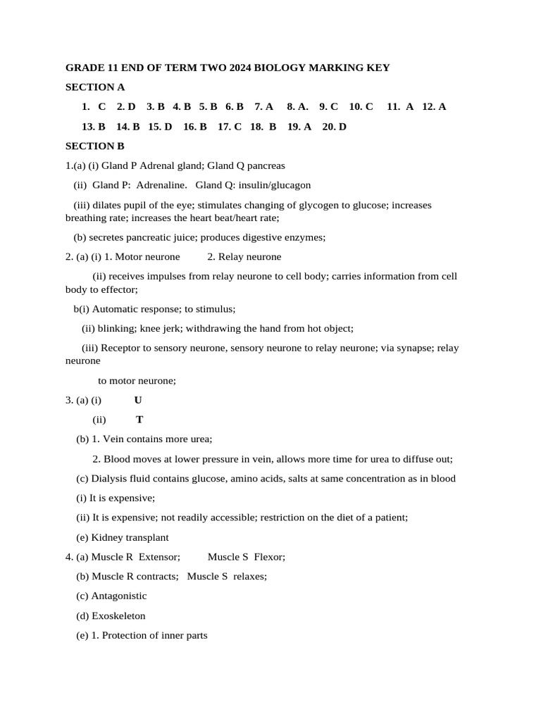 Grade 11 Biology Term 2 Marking Key | PDF | Bone | Central Nervous System
