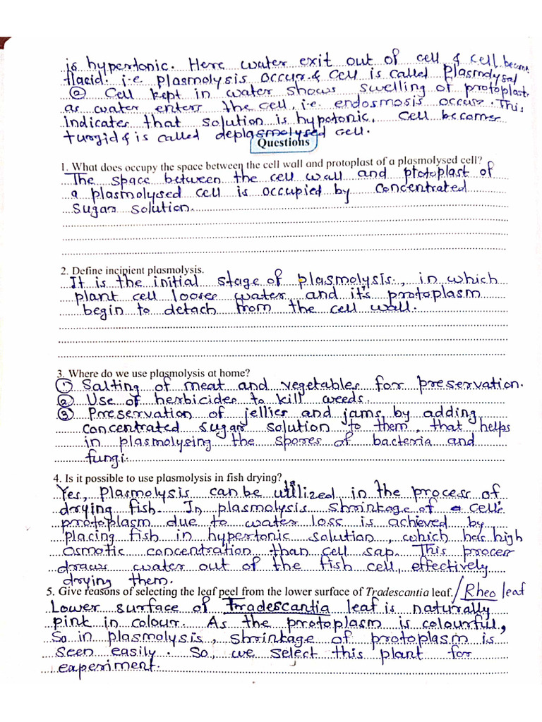 Write-Up For Biology Practicals - A-Experiments To Be Performed 2, 3, 5 ...
