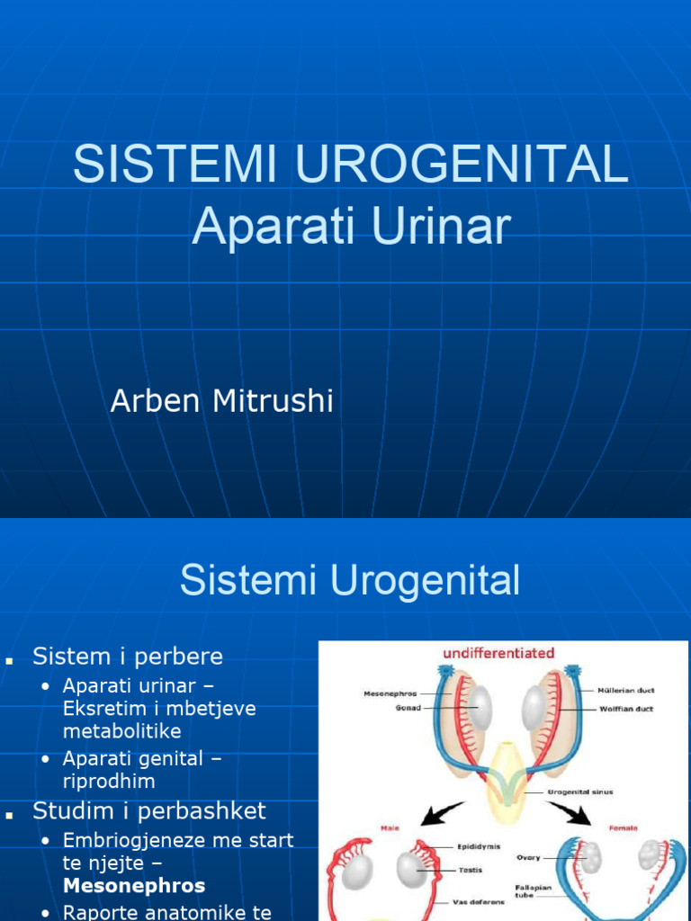 Aparati Urinar | PDF