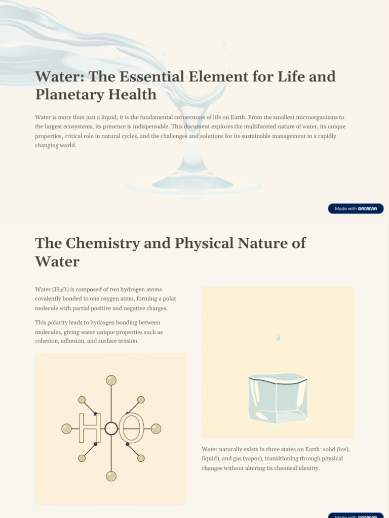 Water The Essential Element For Life and Planetary Health | PDF | Water ...