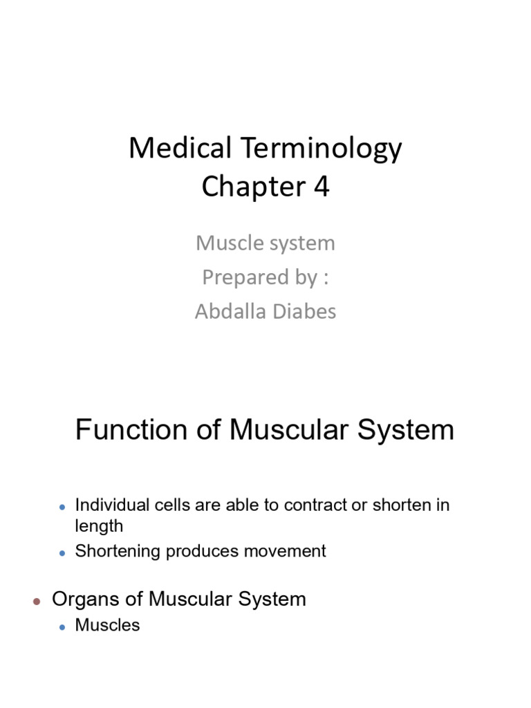 Understanding the Muscular System | PDF | Muscle | Anatomical Terms Of ...