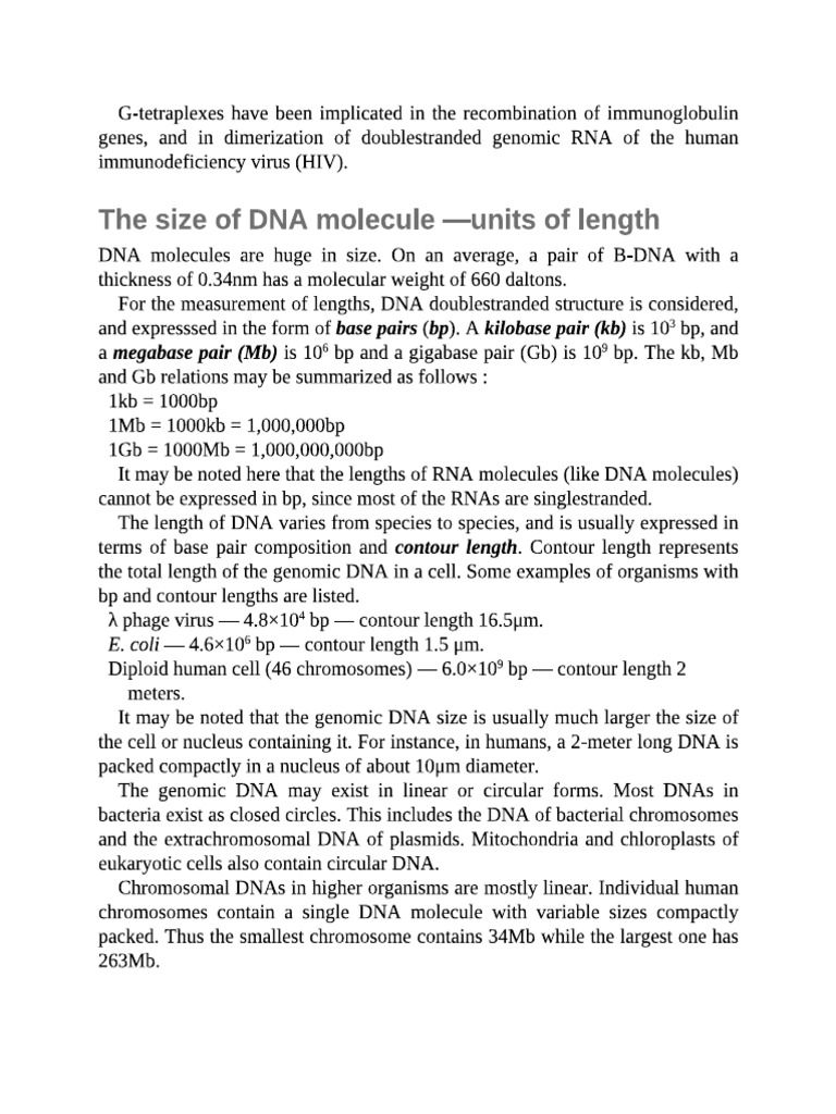 Size of DNA | PDF