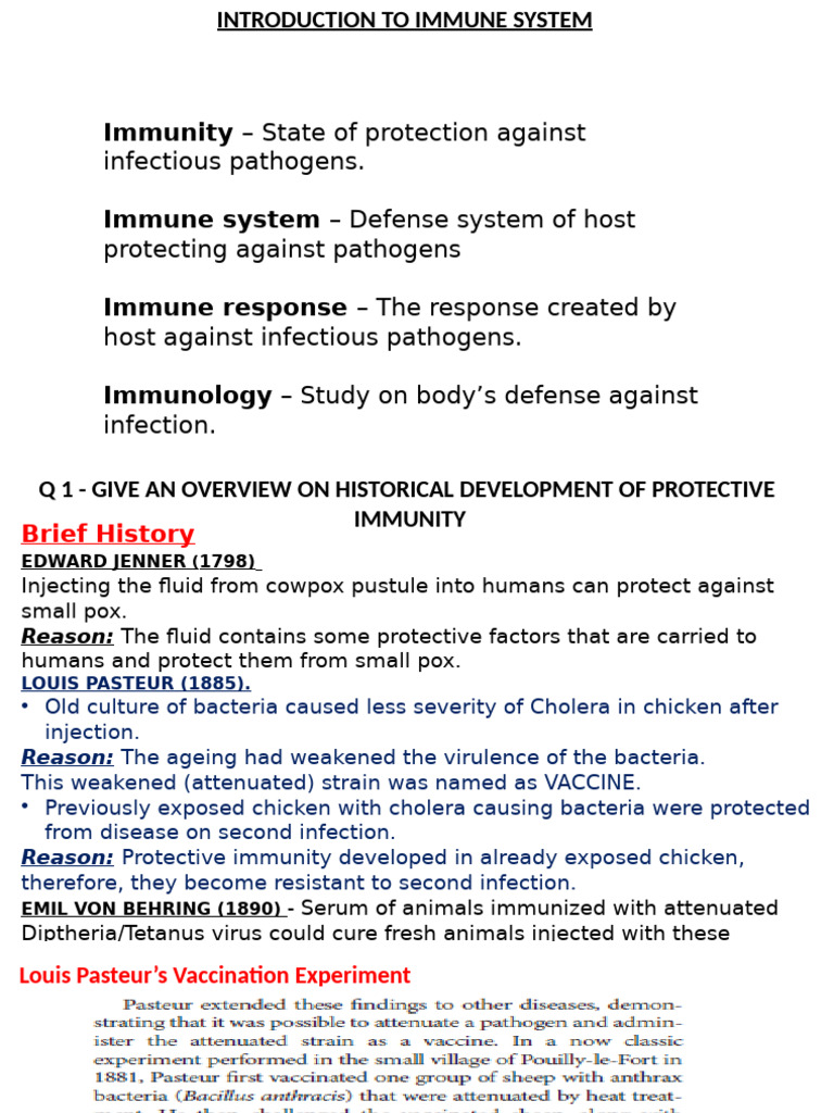 Slide Share - 1st Aug 2025 | PDF | Immune System | Lymphatic System