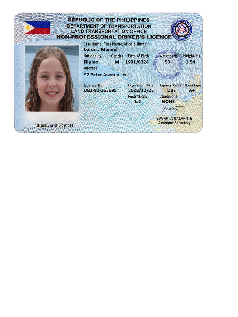 Driver License | PDF