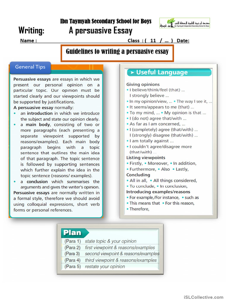 Persuasive Essay Writing Guide for Students | PDF | Human Communication