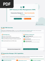 SAP S4HANA Funds Management Detailed Presentation | PDF