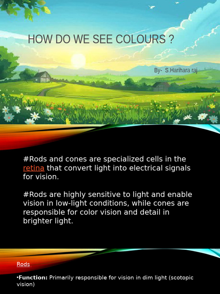 (Phy) How Do We See Colours | PDF | Color | Visual Perception
