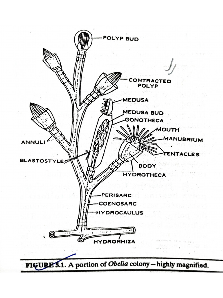 PDFReader 20250821 1015 | PDF
