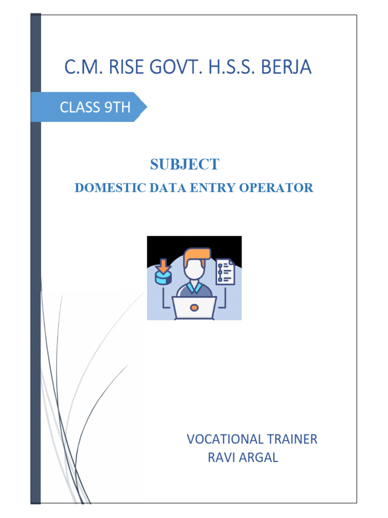 Domestic Data Entry Operator | PDF