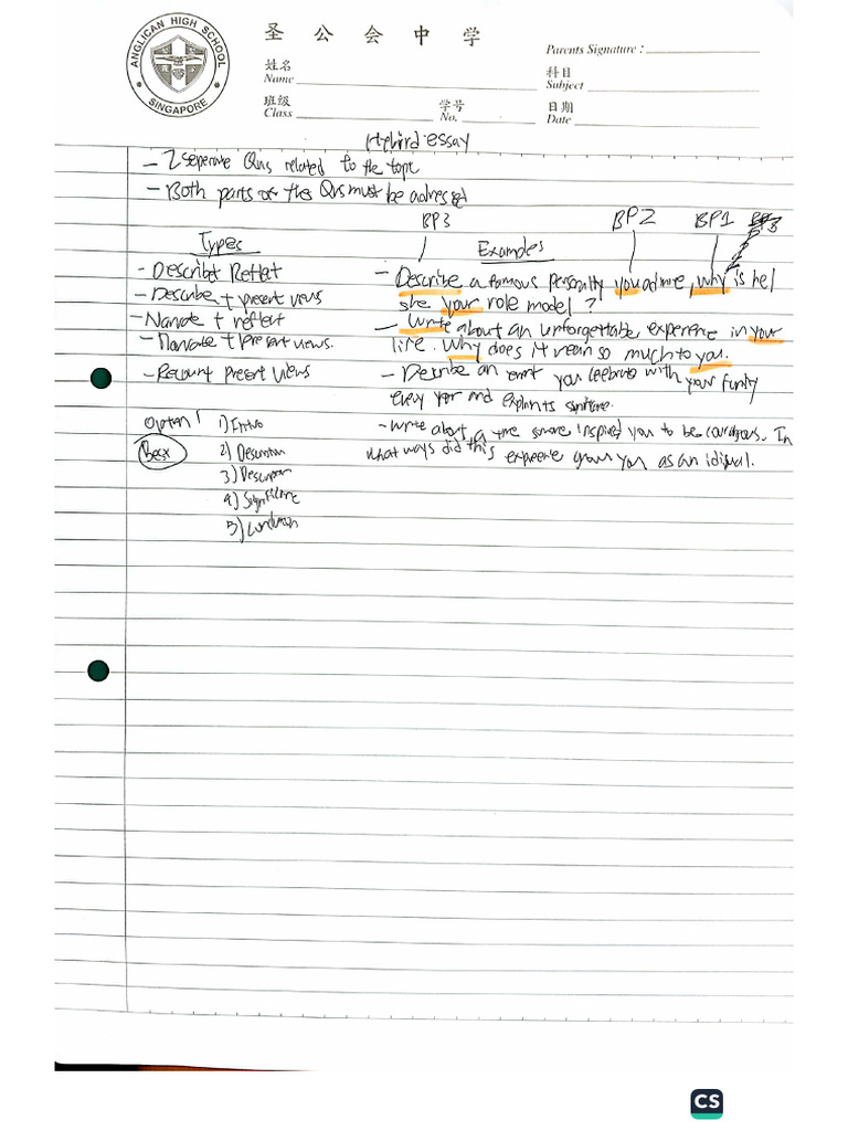 Hybrid Essay Notes | PDF