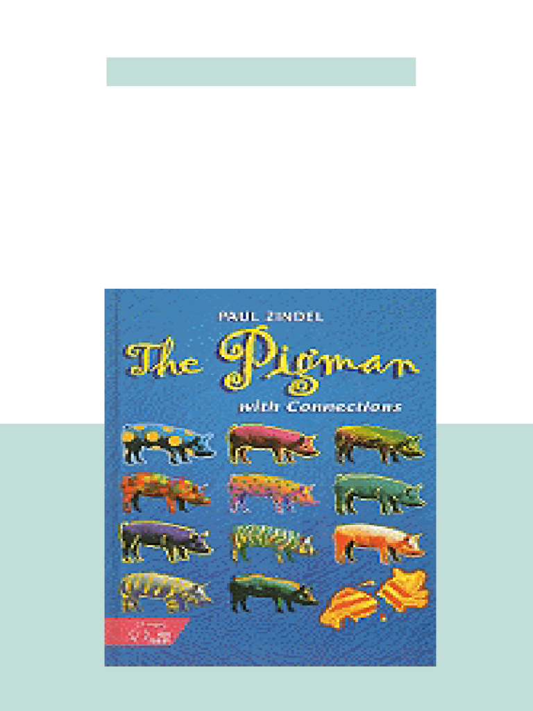Pigman With Connections | PDF