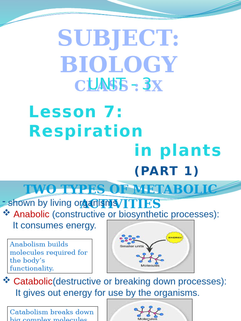 Ln. 7 Respiration in Plants | PDF | Cellular Respiration | Glycolysis