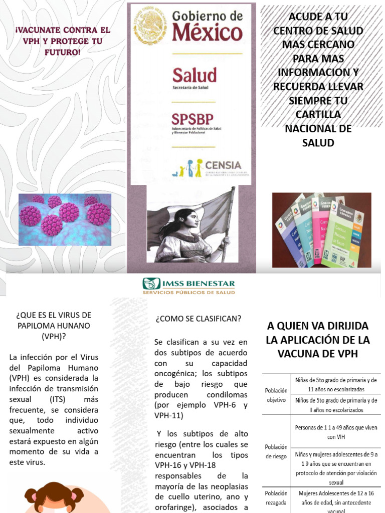 Tríptico sobre Vacuna VPH 2025 | PDF