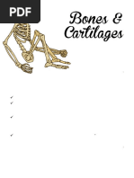 Skeletal System Anatomy Lecture PDF | PDF | Bone | Skeleton