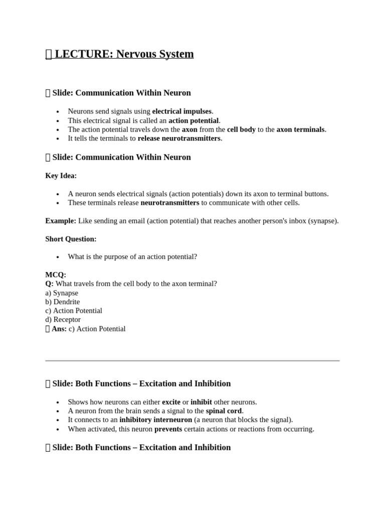 Nervous System: Neuron Communication Basics | PDF | Chemical Synapse ...