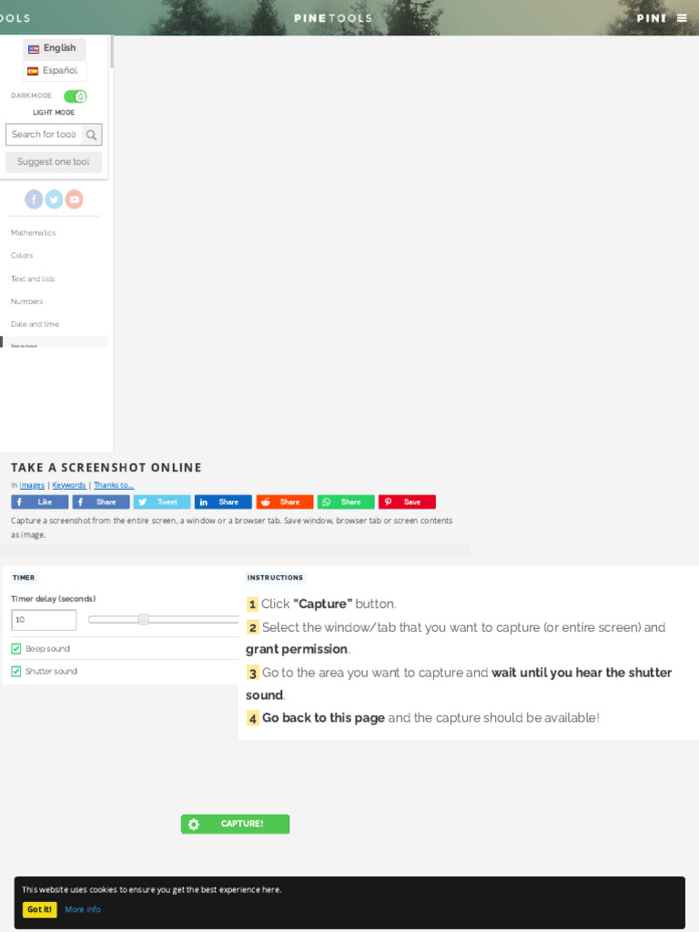 Online Screenshot Capture Tool | PDF