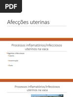 Metrite e Endometrite em Bovinos: Guia Completo | PDF | Bactérias ...