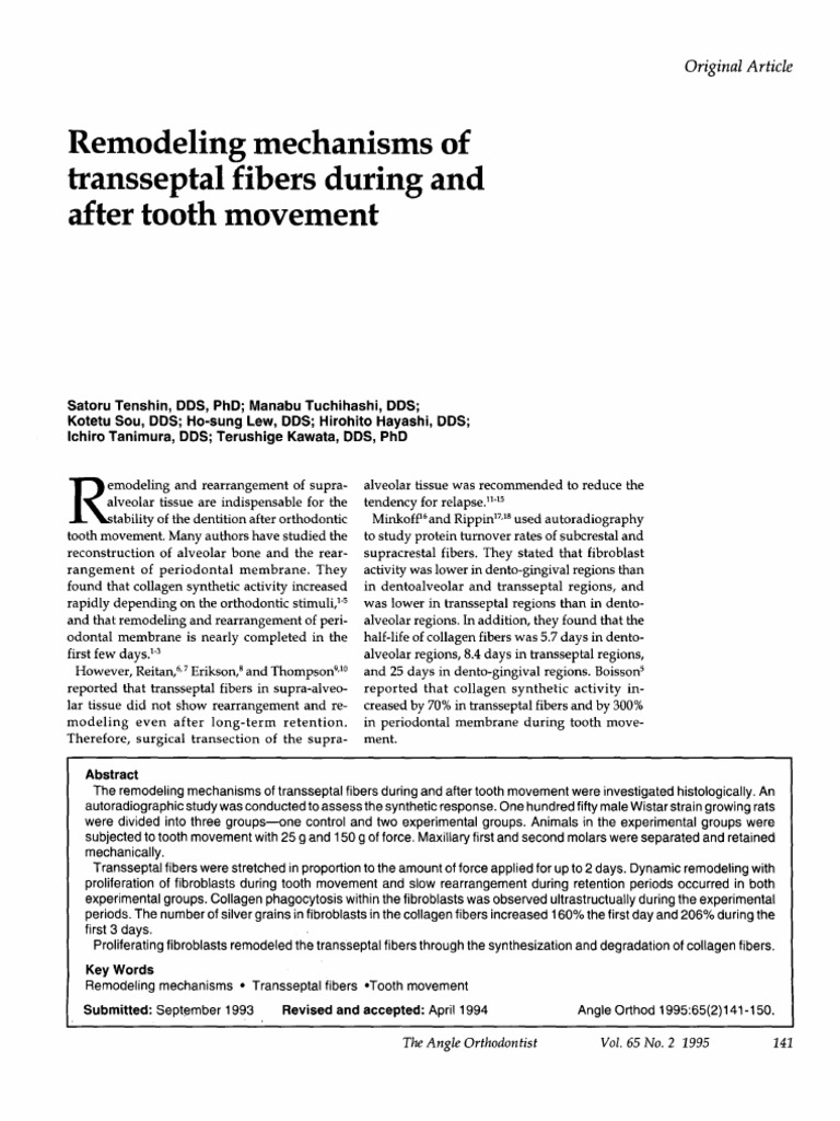 1995 Remodeling Mechanisms of Transseptal Fibers During and After Tooth ...