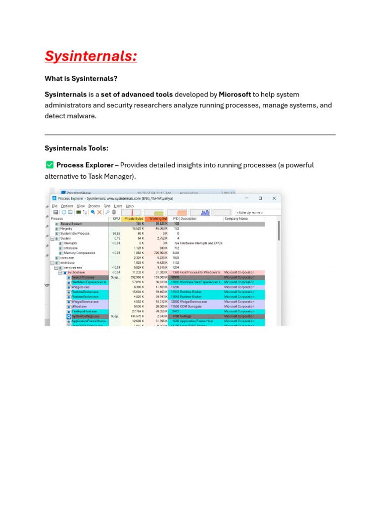 Sys Internals | PDF