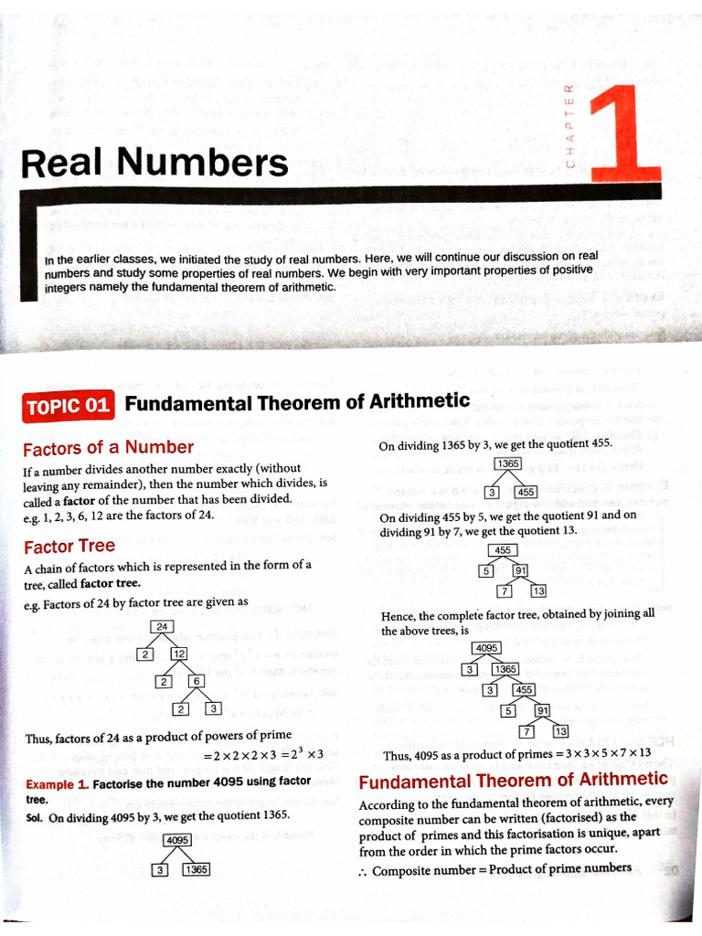 CH 1 - Real Numbers | PDF
