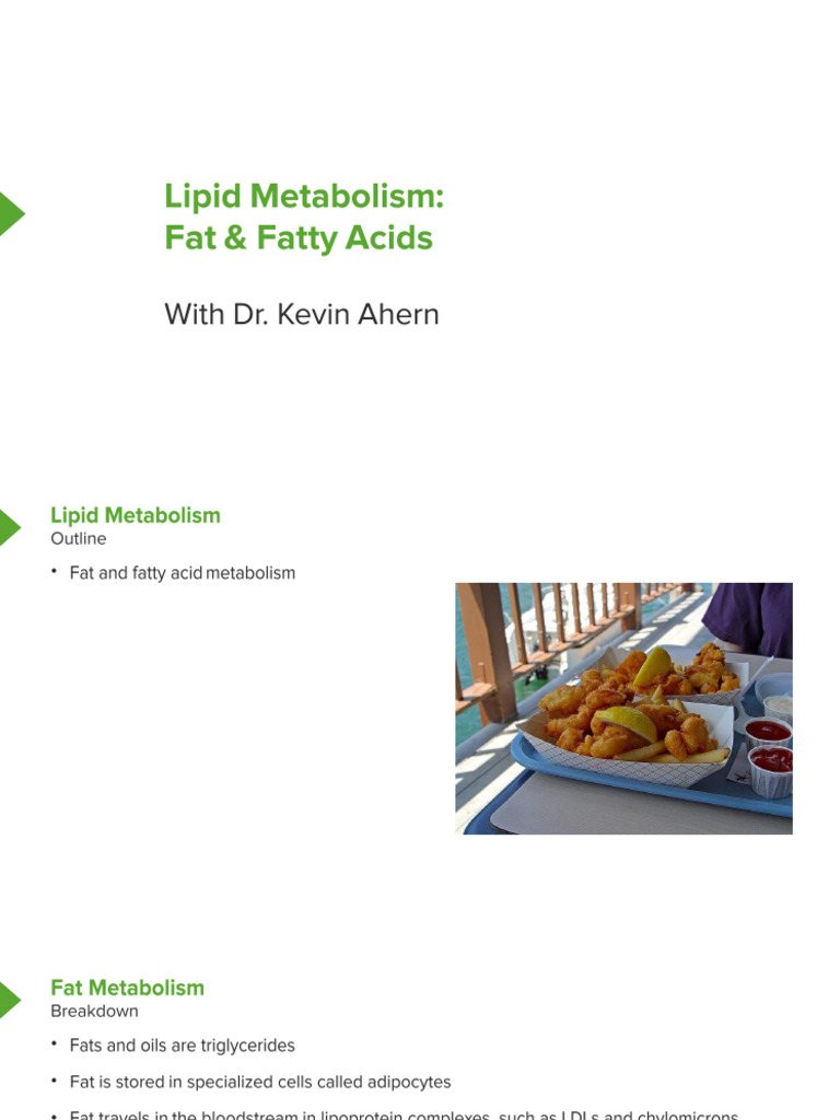 07 Advanced LipidMetabolism-Fat&FattyAcids | PDF
