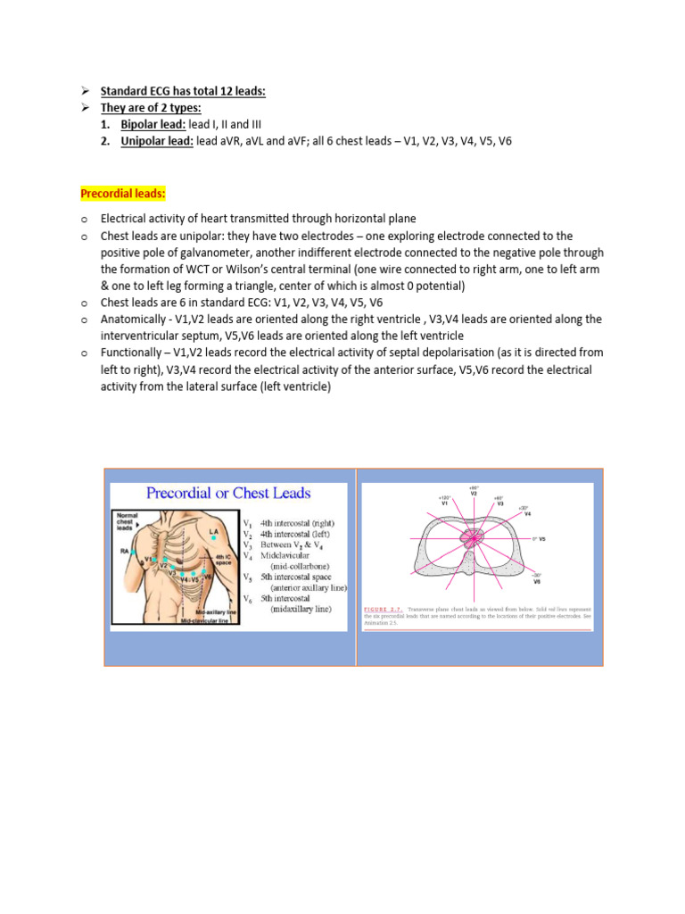 ECG Lecture 02 | PDF | Electrocardiography | Thorax (Human Anatomy)