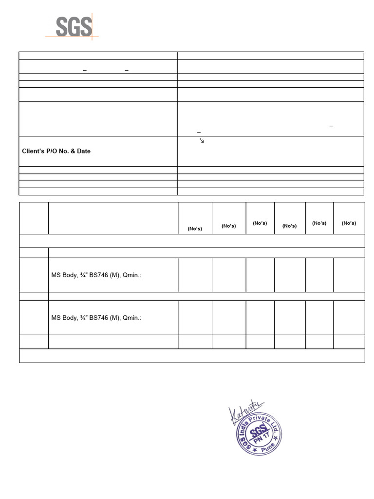 SGS Inspection Report for Smart Gas Meters | PDF | Valve